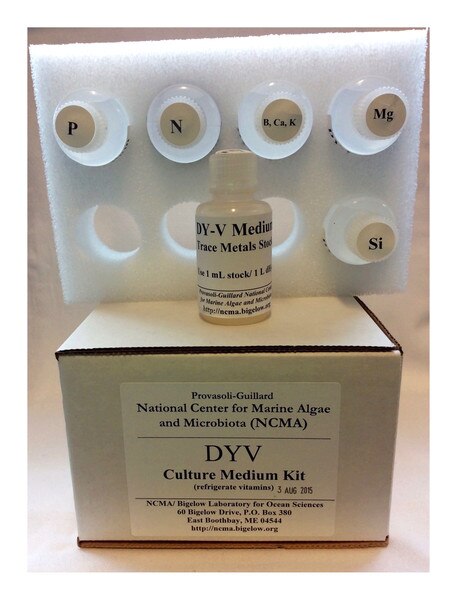 CCMP1413 | NCMA at Bigelow Laboratory